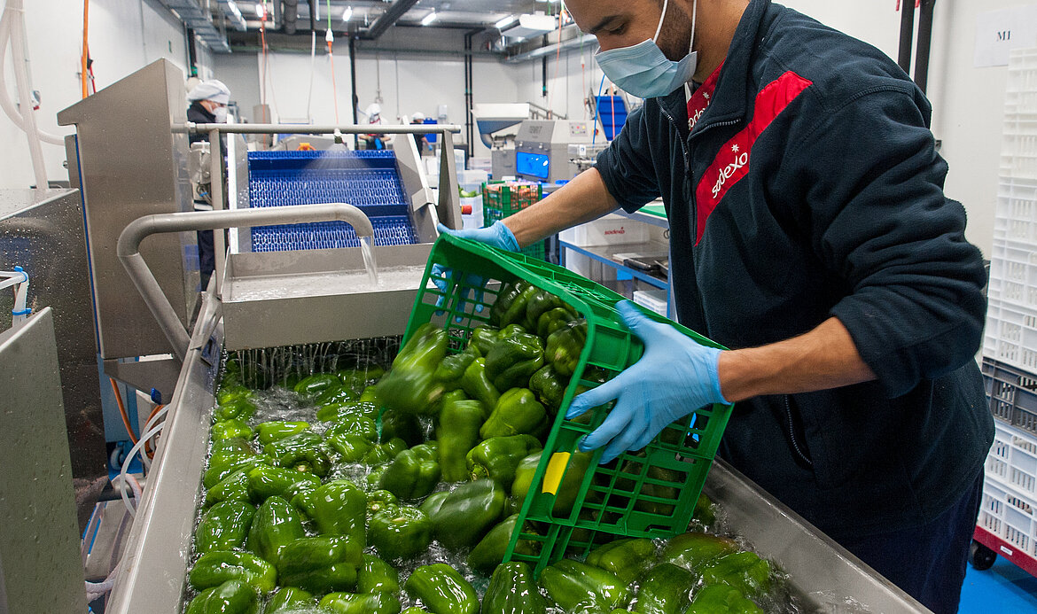 Reference: New processing center of Sodexo processes vegetables with ...