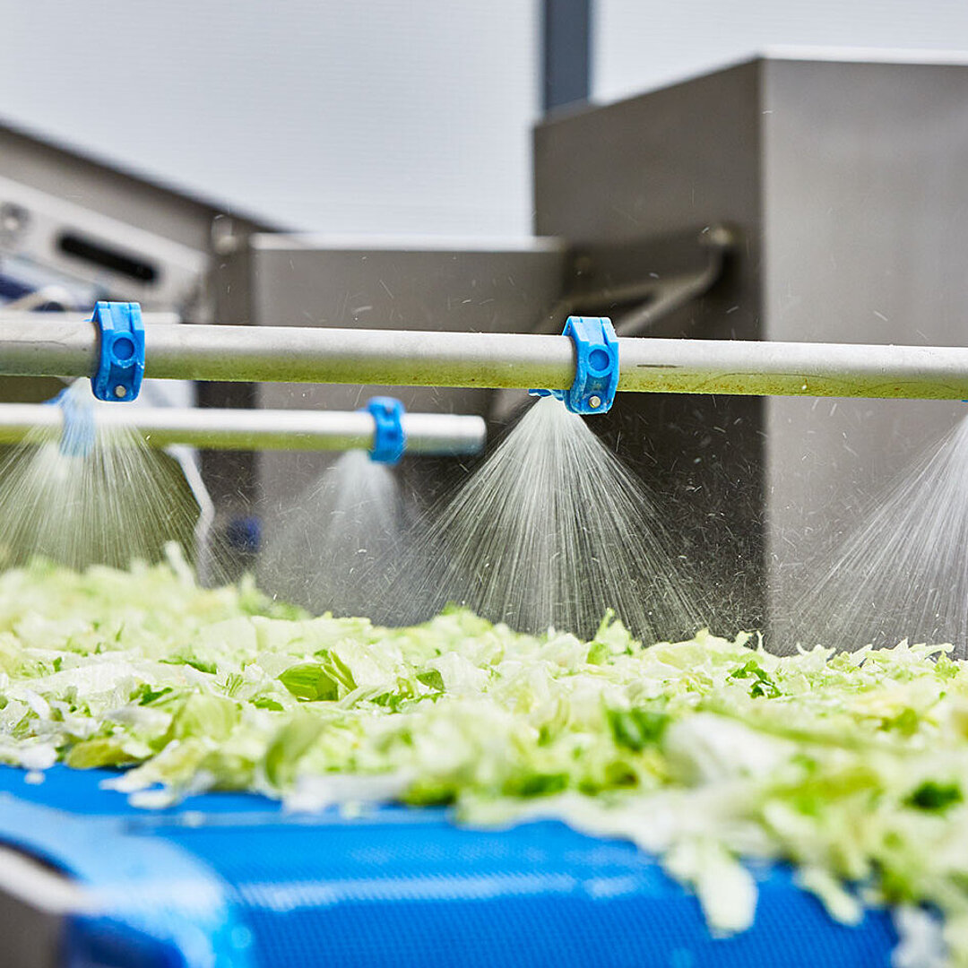 Lettuce processing & packaging line – KRONEN | KRONEN GmbH