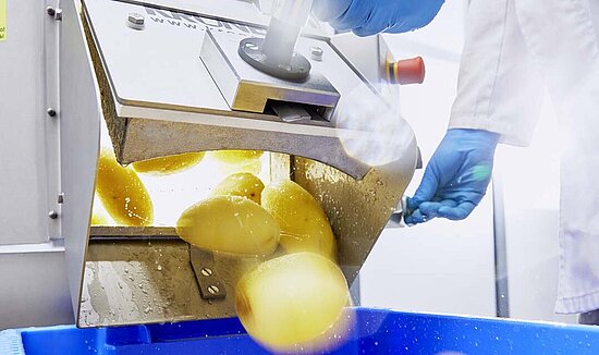 Potato processing line – KRONEN | KRONEN GmbH