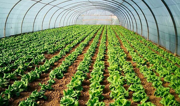 Food Technology from Kehl in Germany | KRONEN GmbH