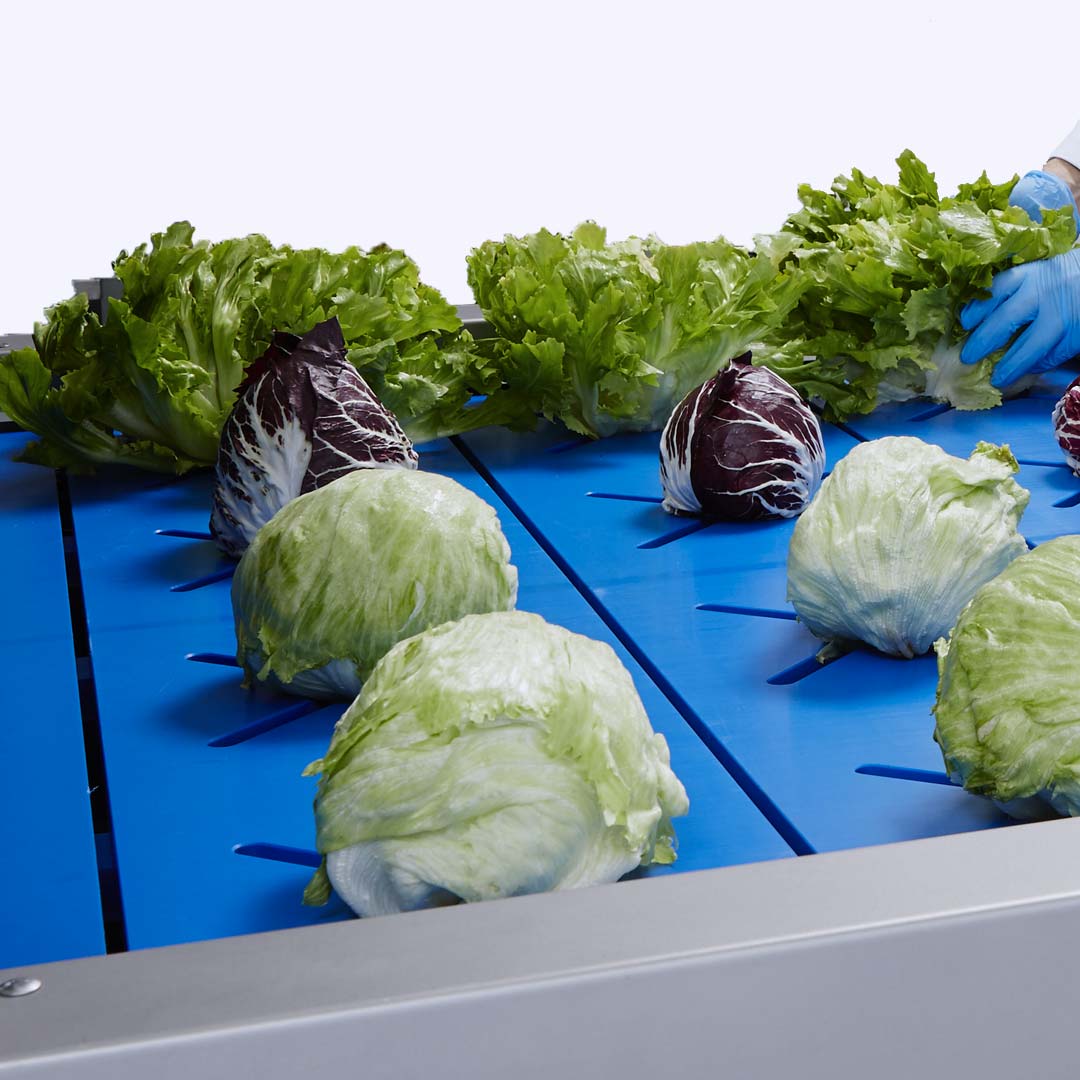 Multicorer: automatic coring of vegetables – KRONEN | KRONEN GmbH