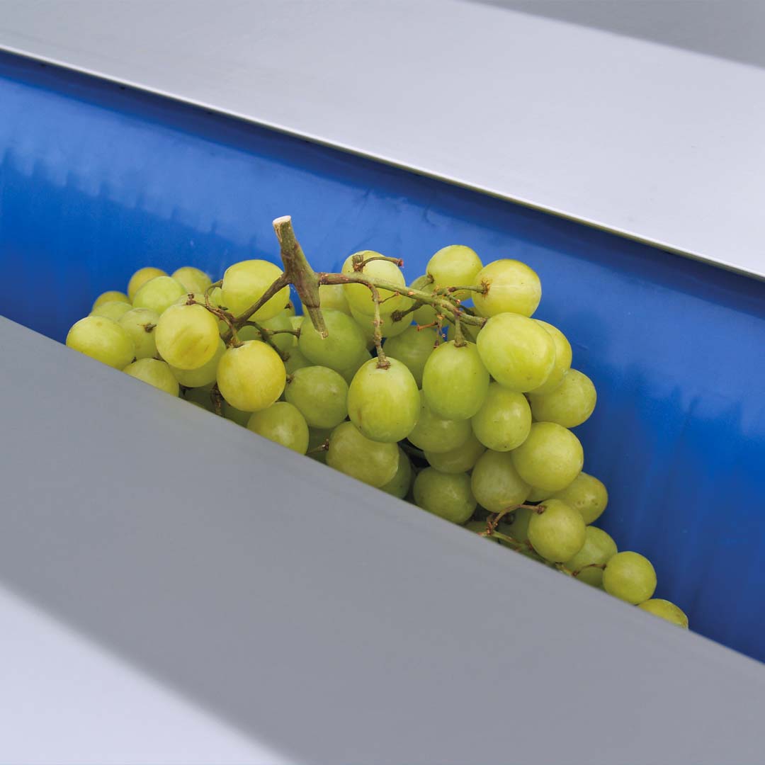 GDM 35 grape destemming machine – KRONEN | KRONEN GmbH