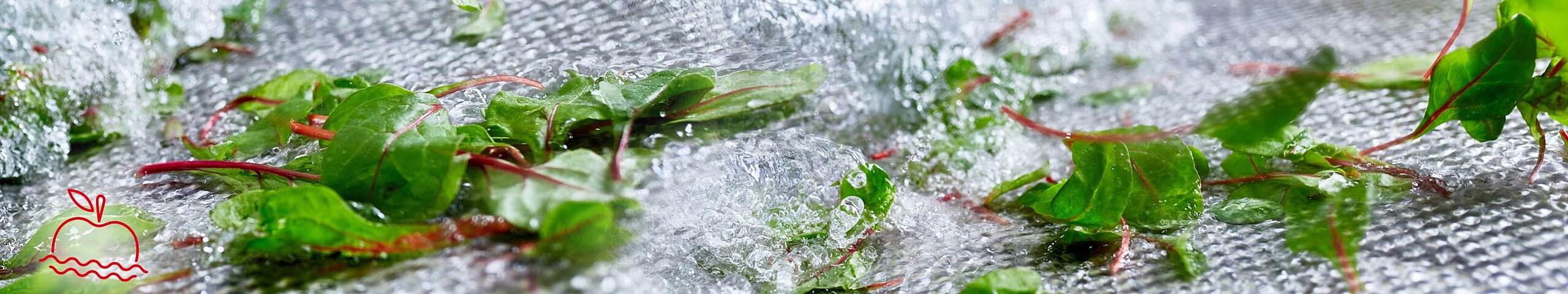 KUJ-V cube, strip & slice cutting machine | KRONEN GmbH